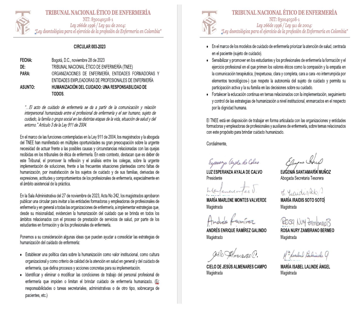 TNEE – Tribunal Nacional Ético Enfermería